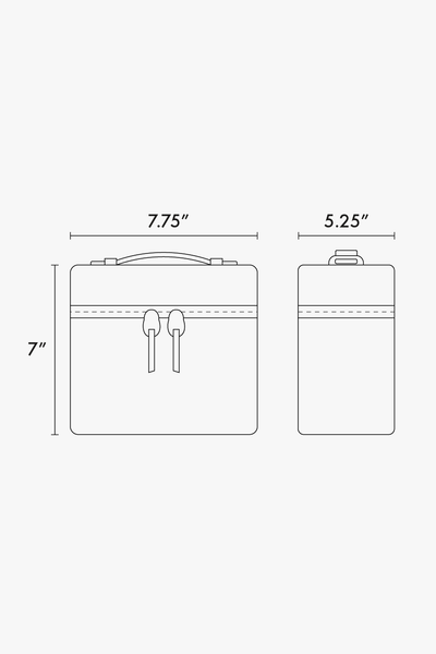 Clear Train Case with Top Compartment | CALPAK