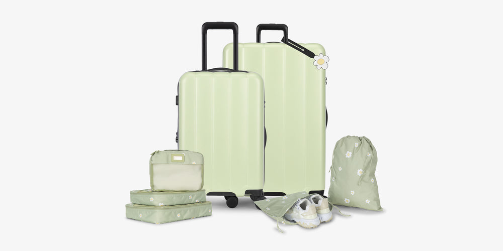 What are TSA Approved Locks? A 2025 Guide | CALPAK